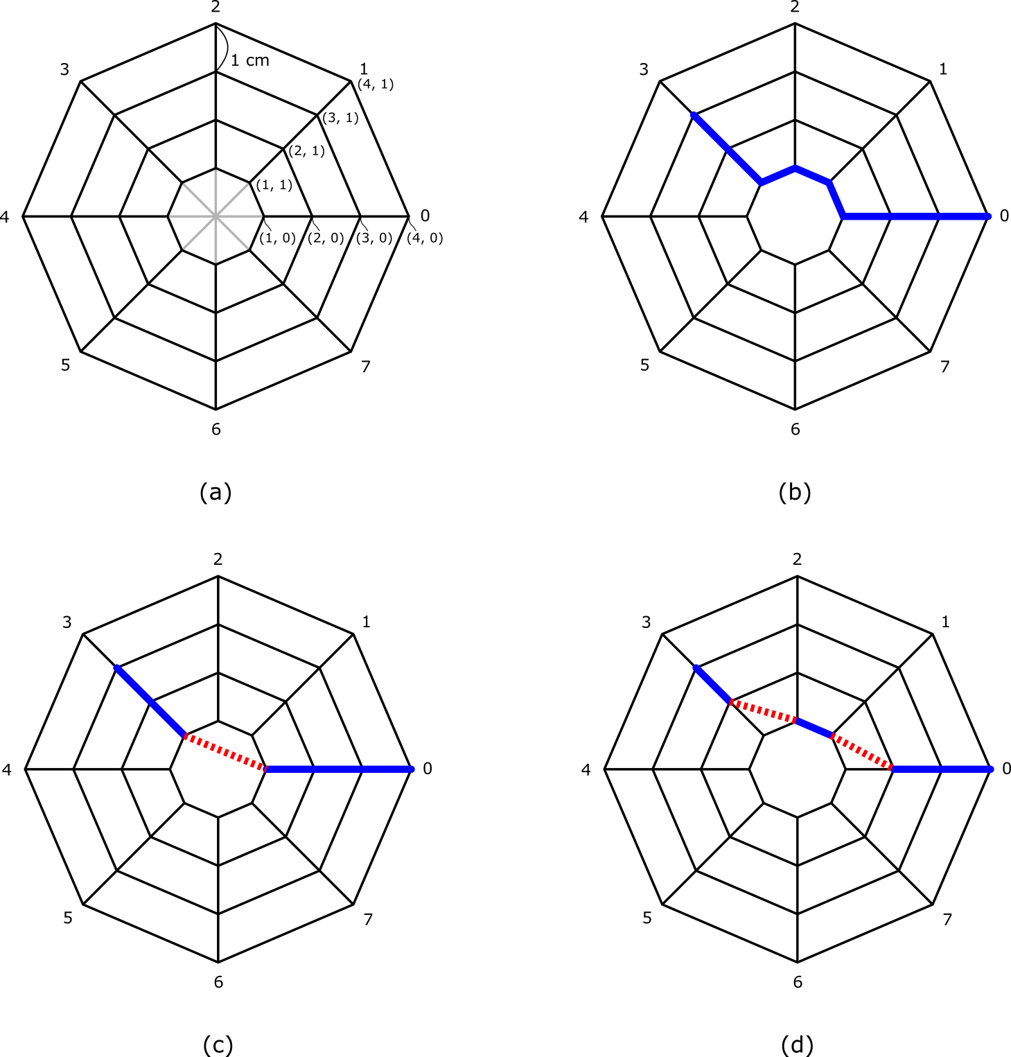 The Shortest Path on the Spider's Web